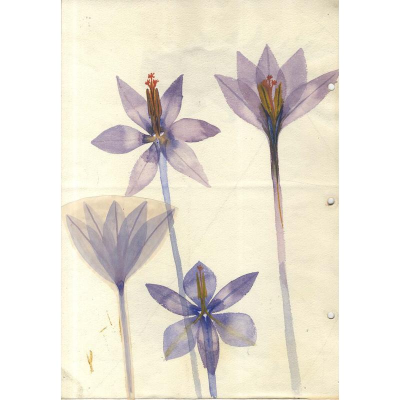 null – Works – UAL